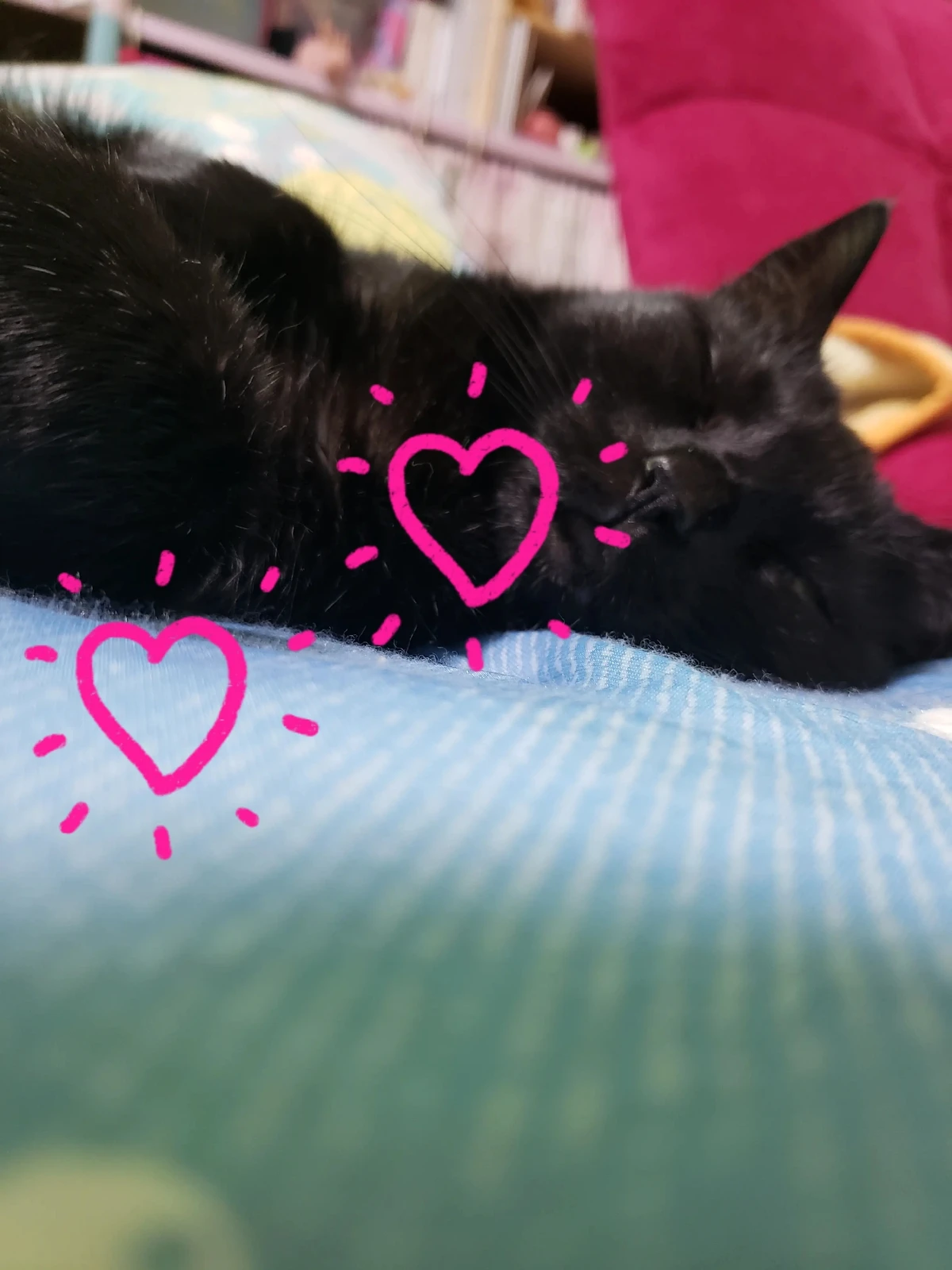 あずき | kanan24が投稿したフォトブック | Lemon8