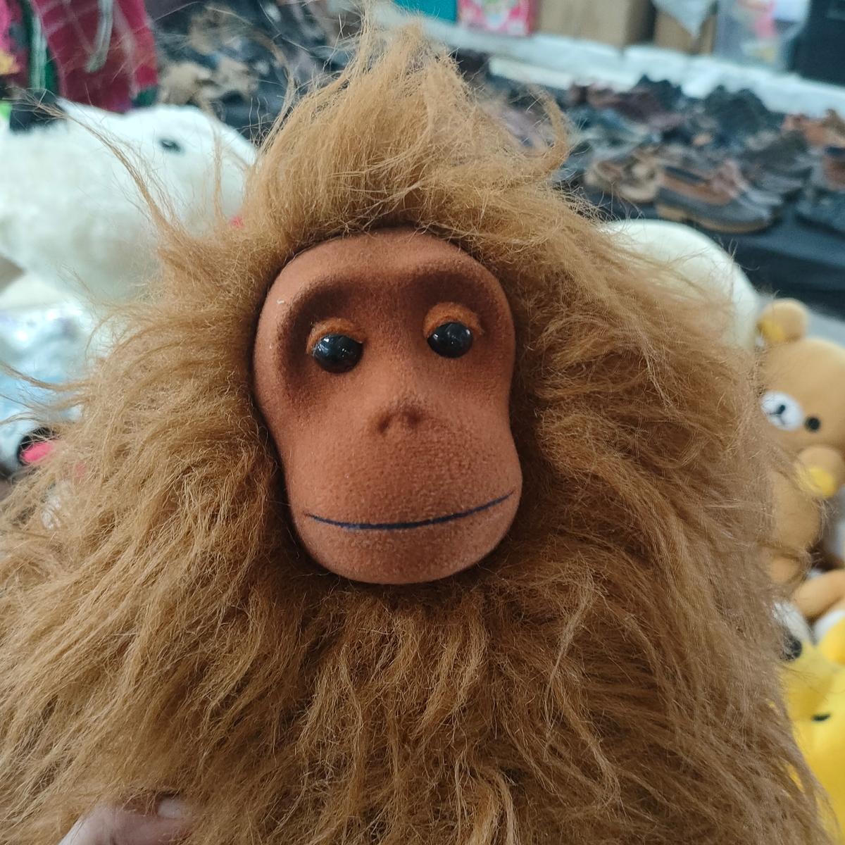 ลิงเอิร์น 🐒's Post|Lemon8