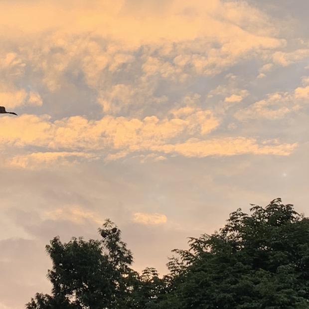 Coco_melonnn's Post|Lemon8