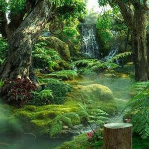 wing paradise's Post|Lemon8