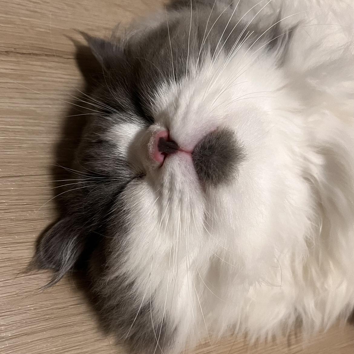 Aim Nattikan's Post|Lemon8