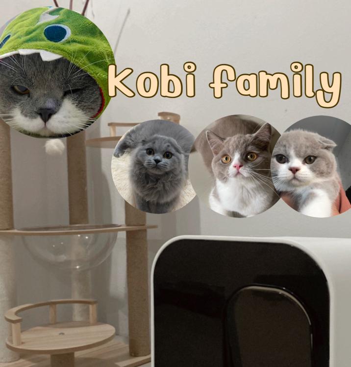 NOEY_kobi_kuma's Post|Lemon8