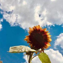 Tawan Ruttanaso's Post|Lemon8