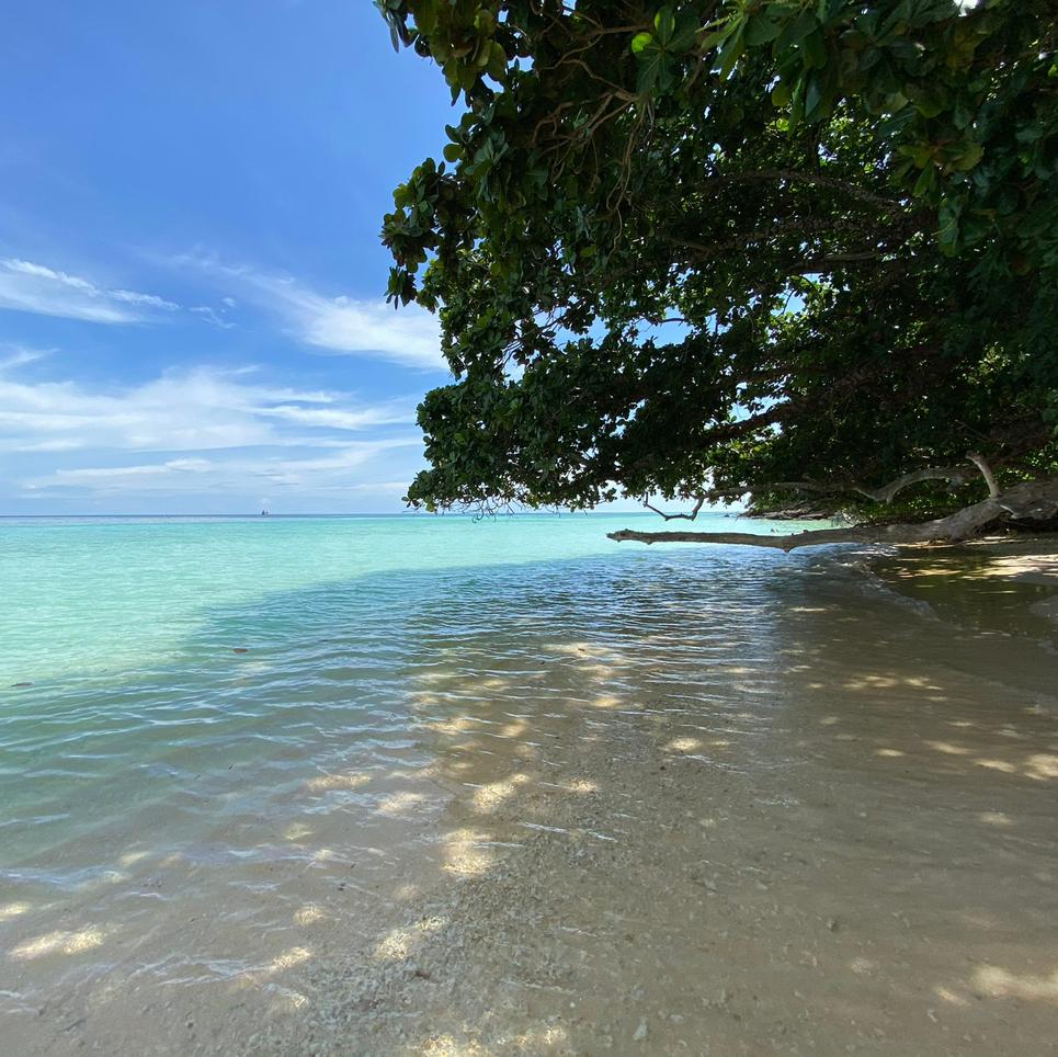 Pompom's Post|Lemon8