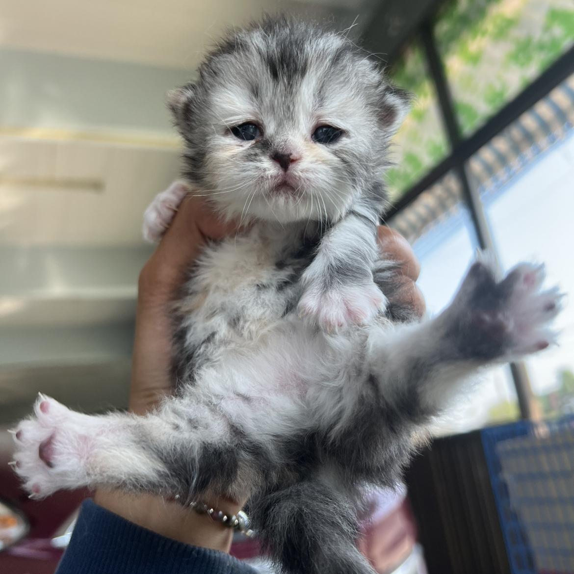 Man Li's Post|Lemon8