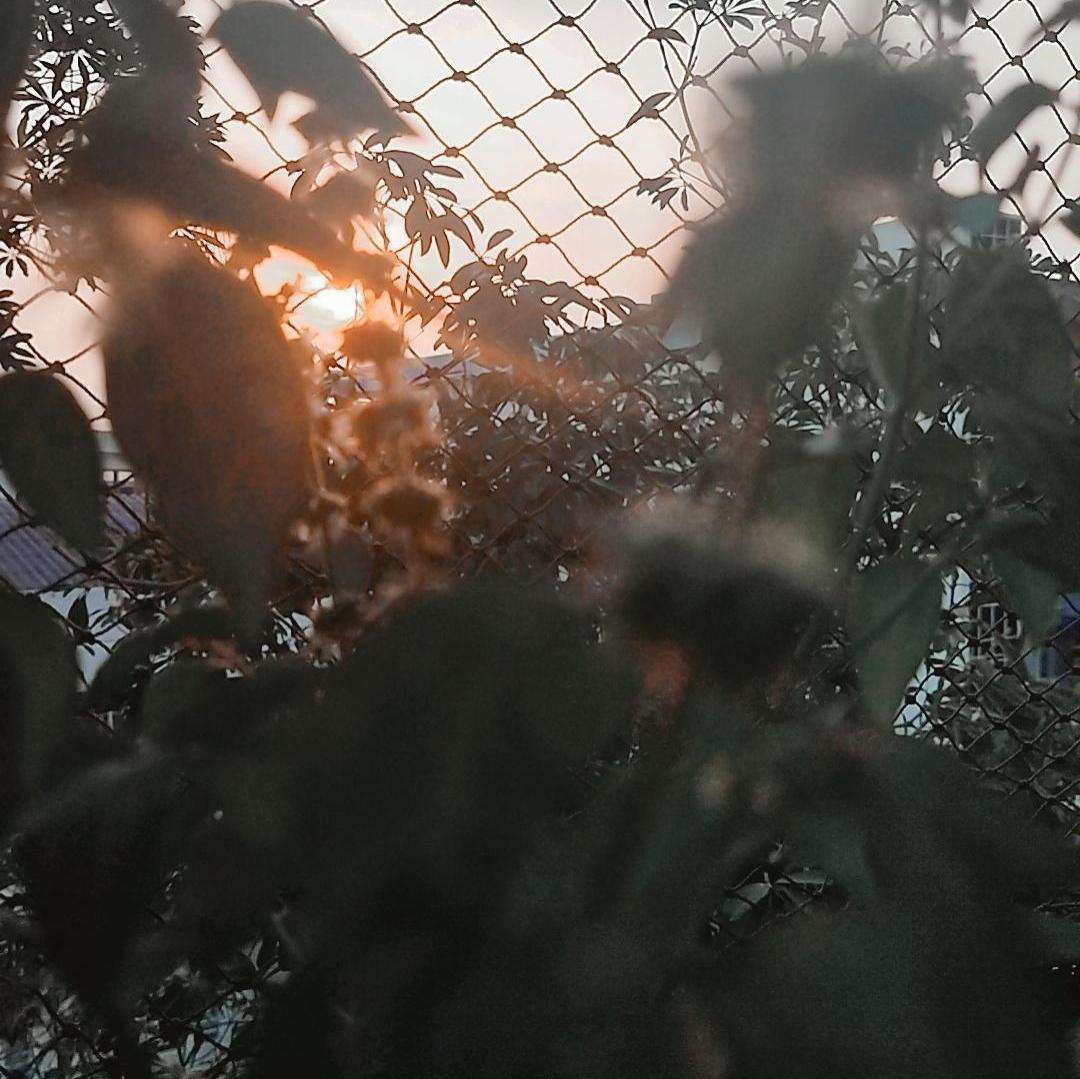 apisara's Post|Lemon8