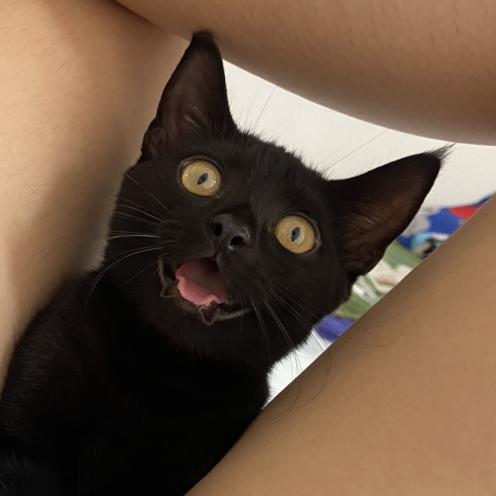 Awa 1122's Post|Lemon8