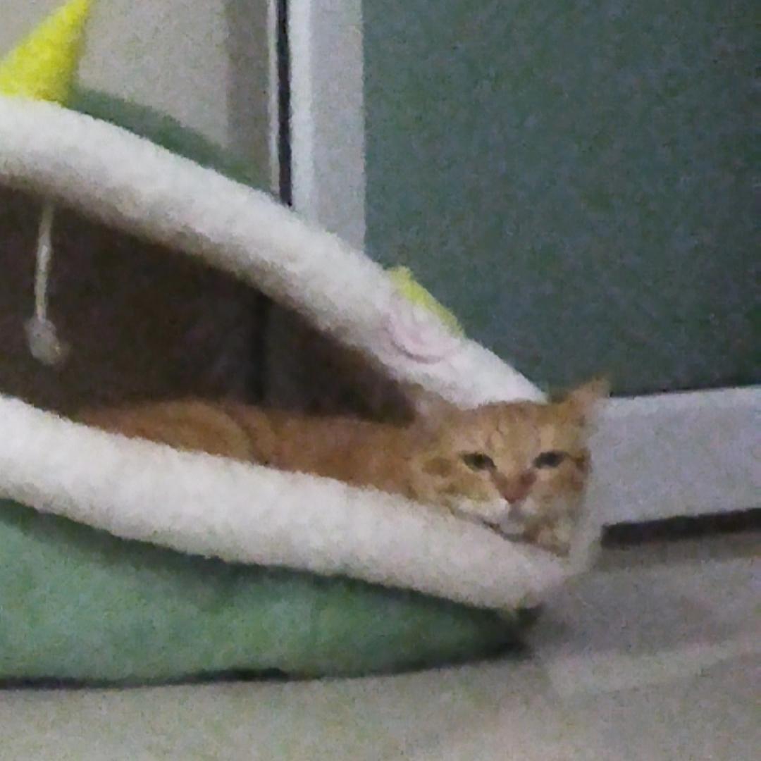 💖sandi's Post|Lemon8