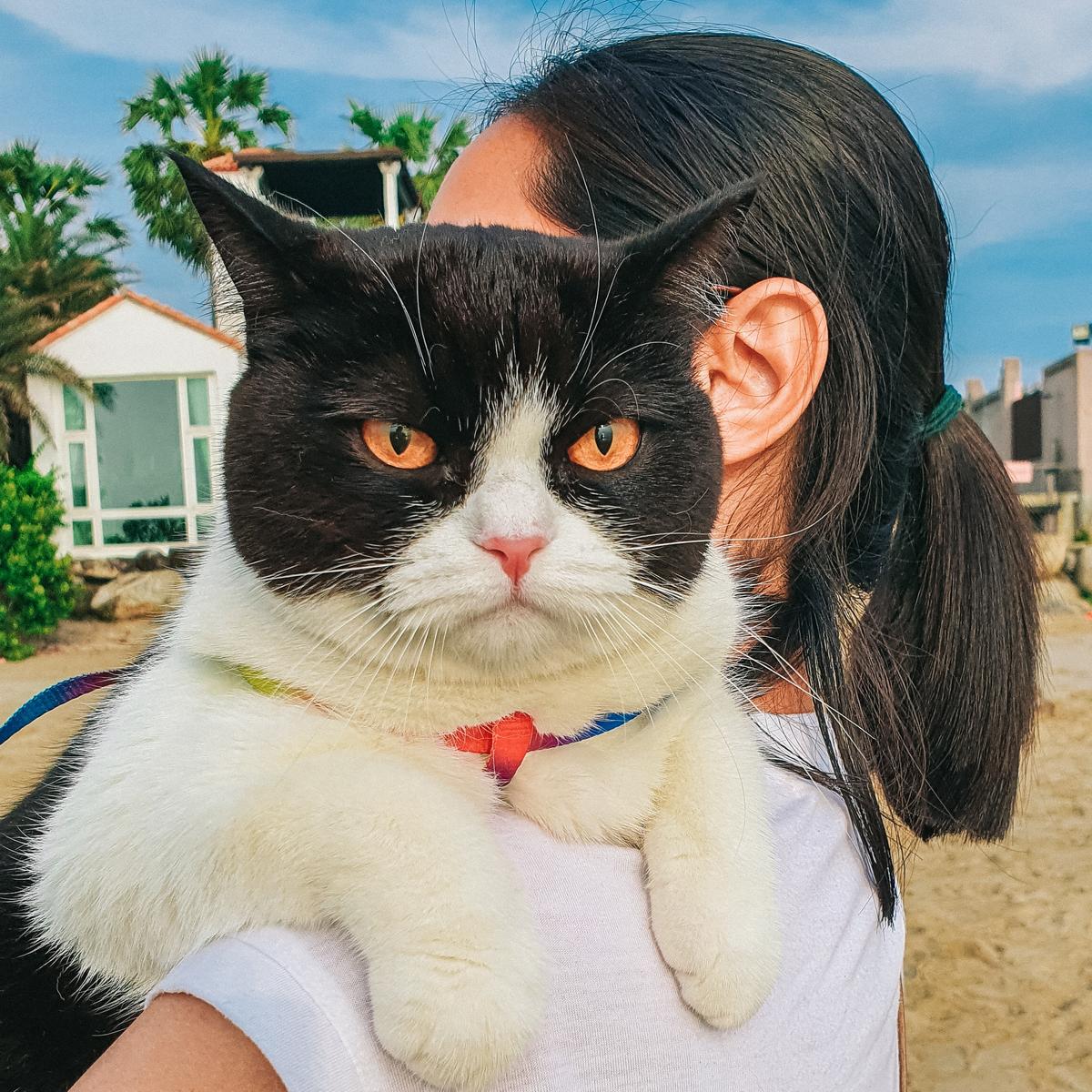 vanila.kk's Post|Lemon8