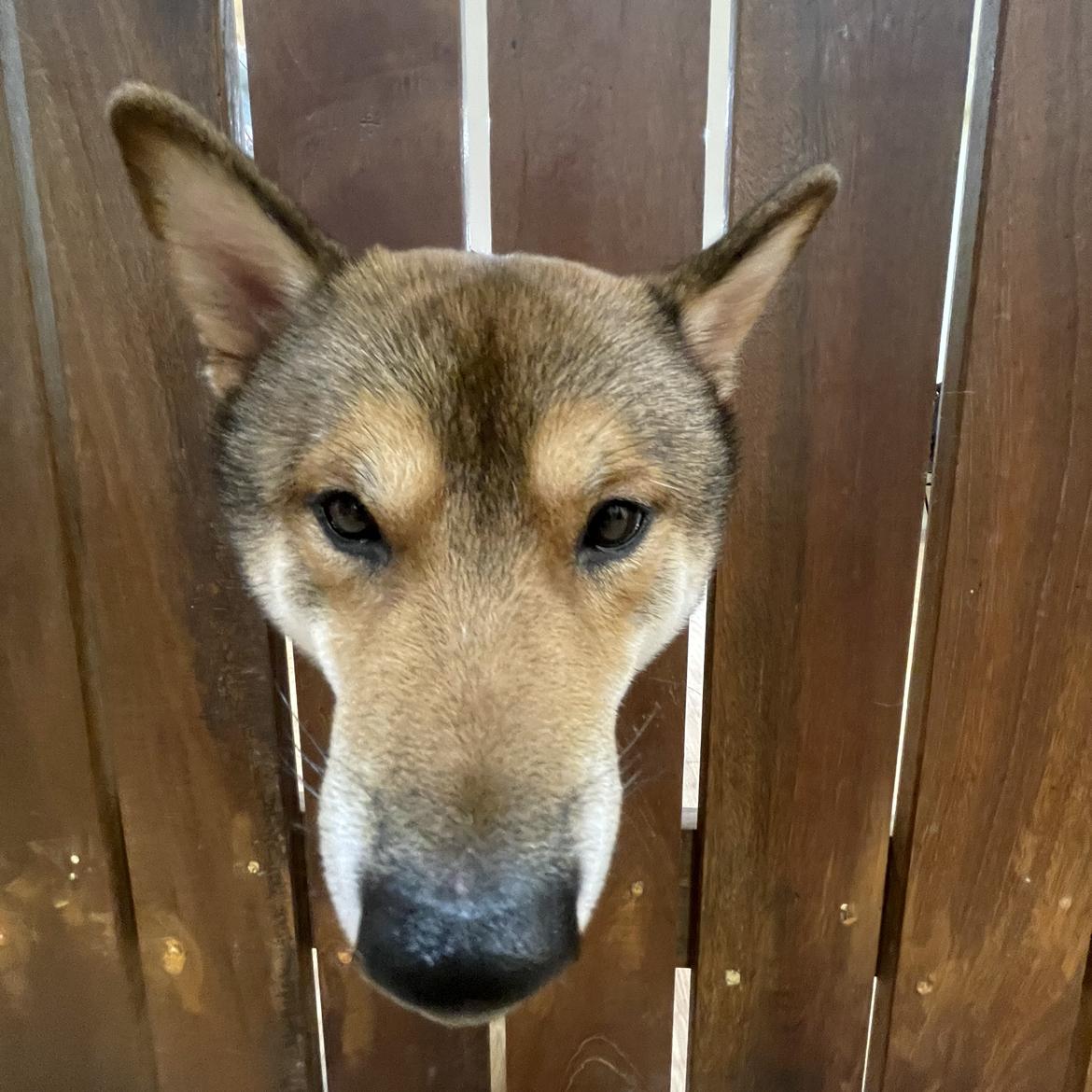 esther's Post|Lemon8