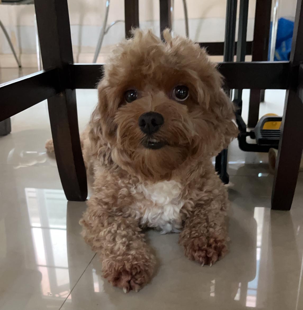 Nutty Wan's Post|Lemon8