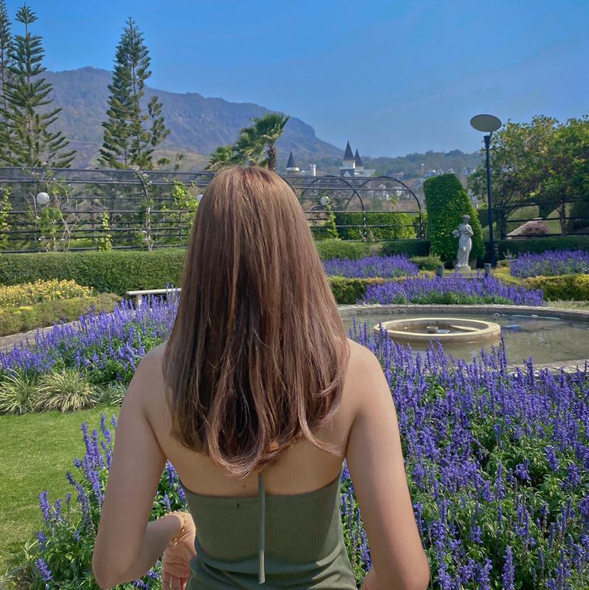 NooLek🍀's Post|Lemon8