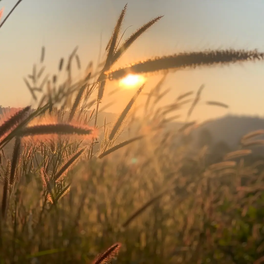 Ploysai's Post|Lemon8