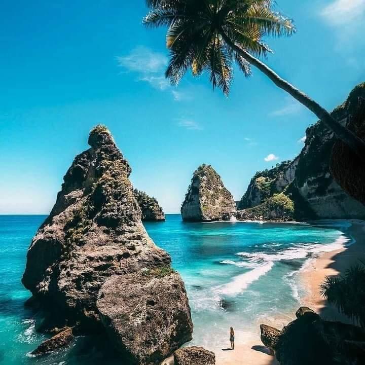 Ardy_balitour🚗's Post|Lemon8