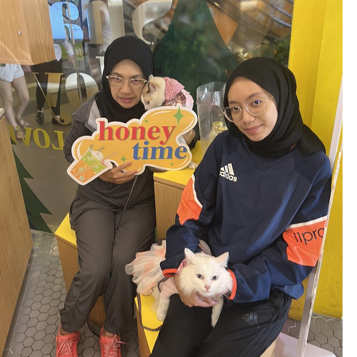 cat&food lover🐱さんの投稿|Lemon8