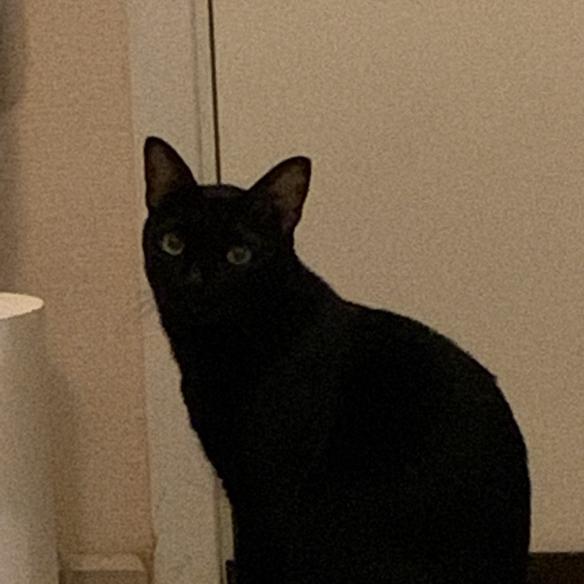 Thanaporn Ratta's Post|Lemon8