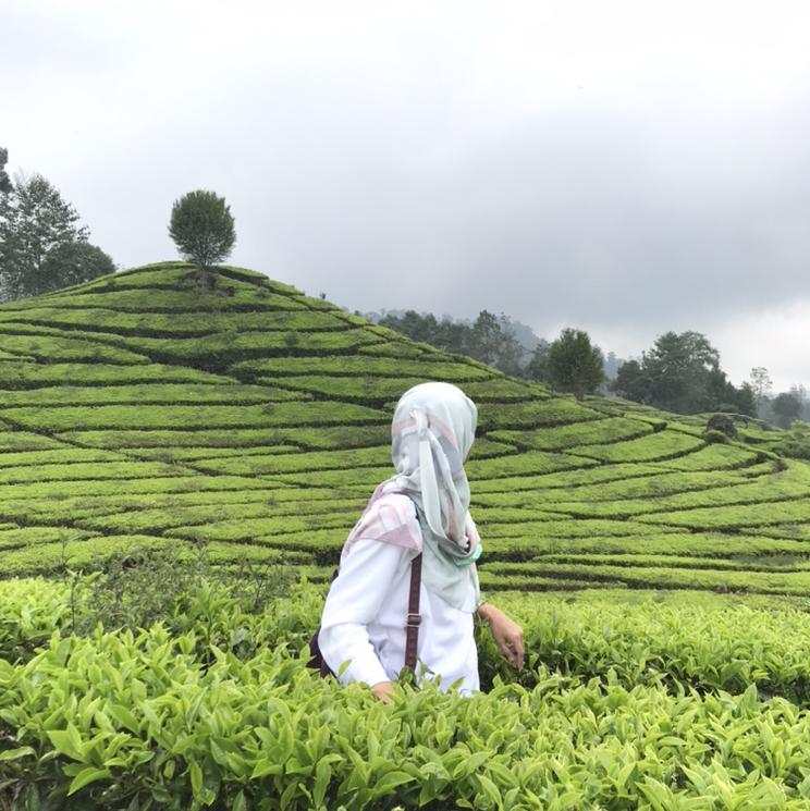 Akemi Egami's Post|Lemon8