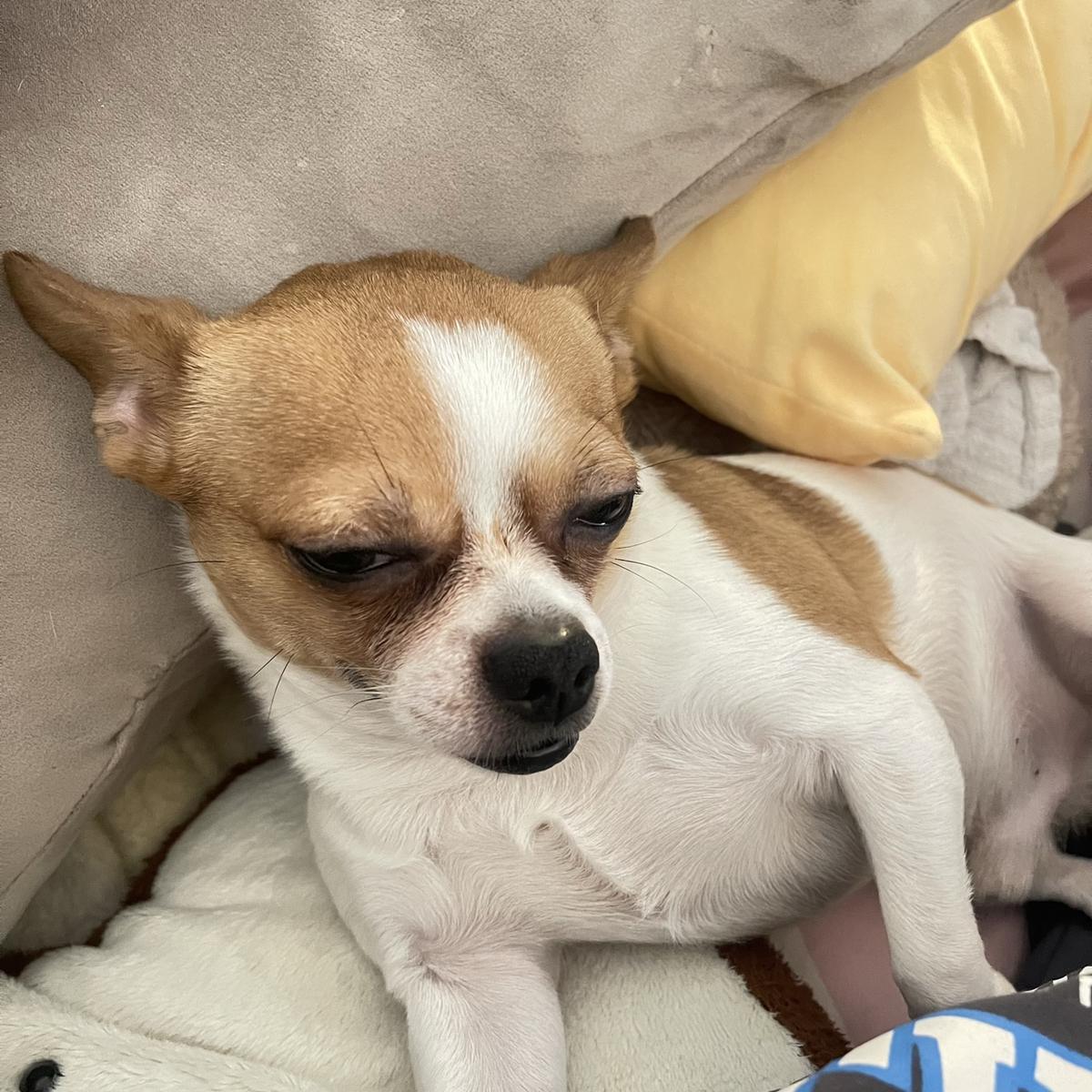 Momo_toro's Post|Lemon8