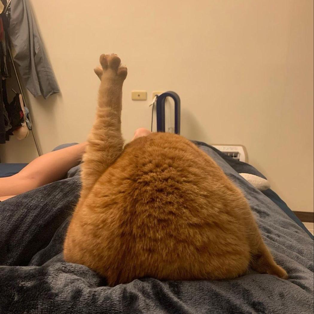 Supaluck Kleebk's Post|Lemon8