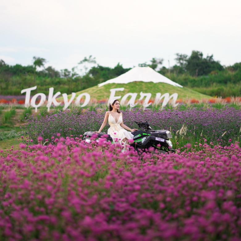 TokyoFarm 's Post|Lemon8