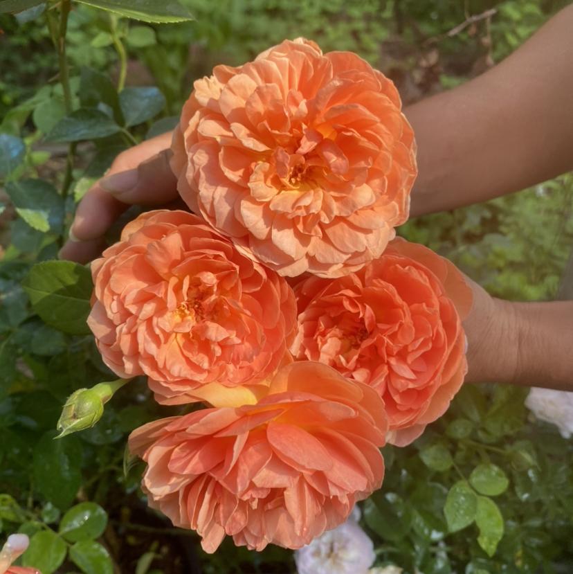 Warin&flower's Post|Lemon8