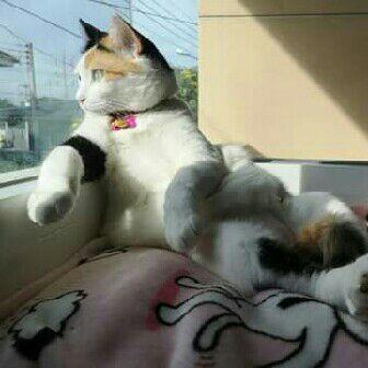 Chutima Bebe's Post|Lemon8