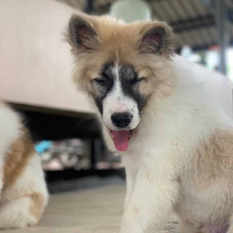 Phat_Benten's Post|Lemon8