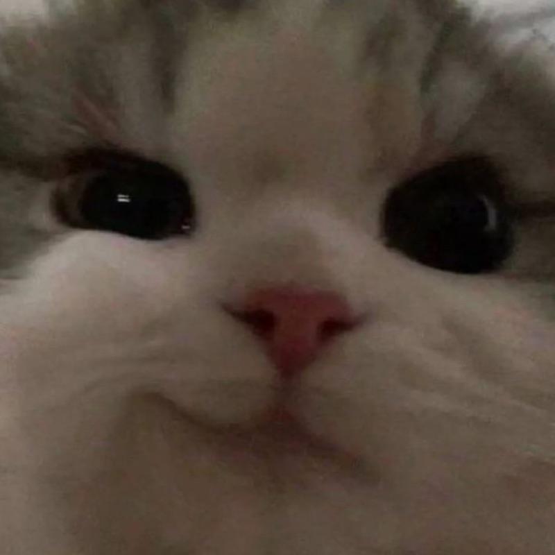 Saron 's Post|Lemon8