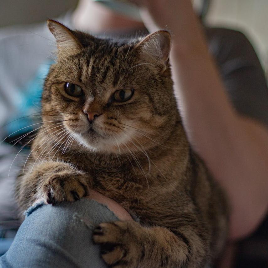 Willow's Post|Lemon8