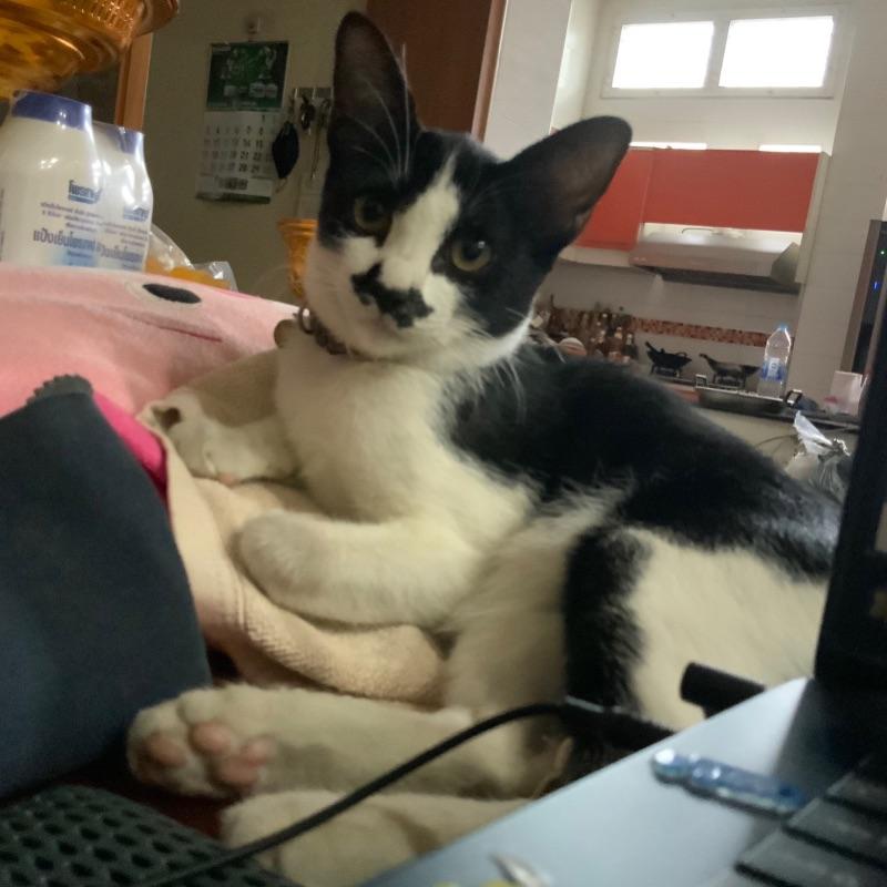 Jaokha's Post|Lemon8