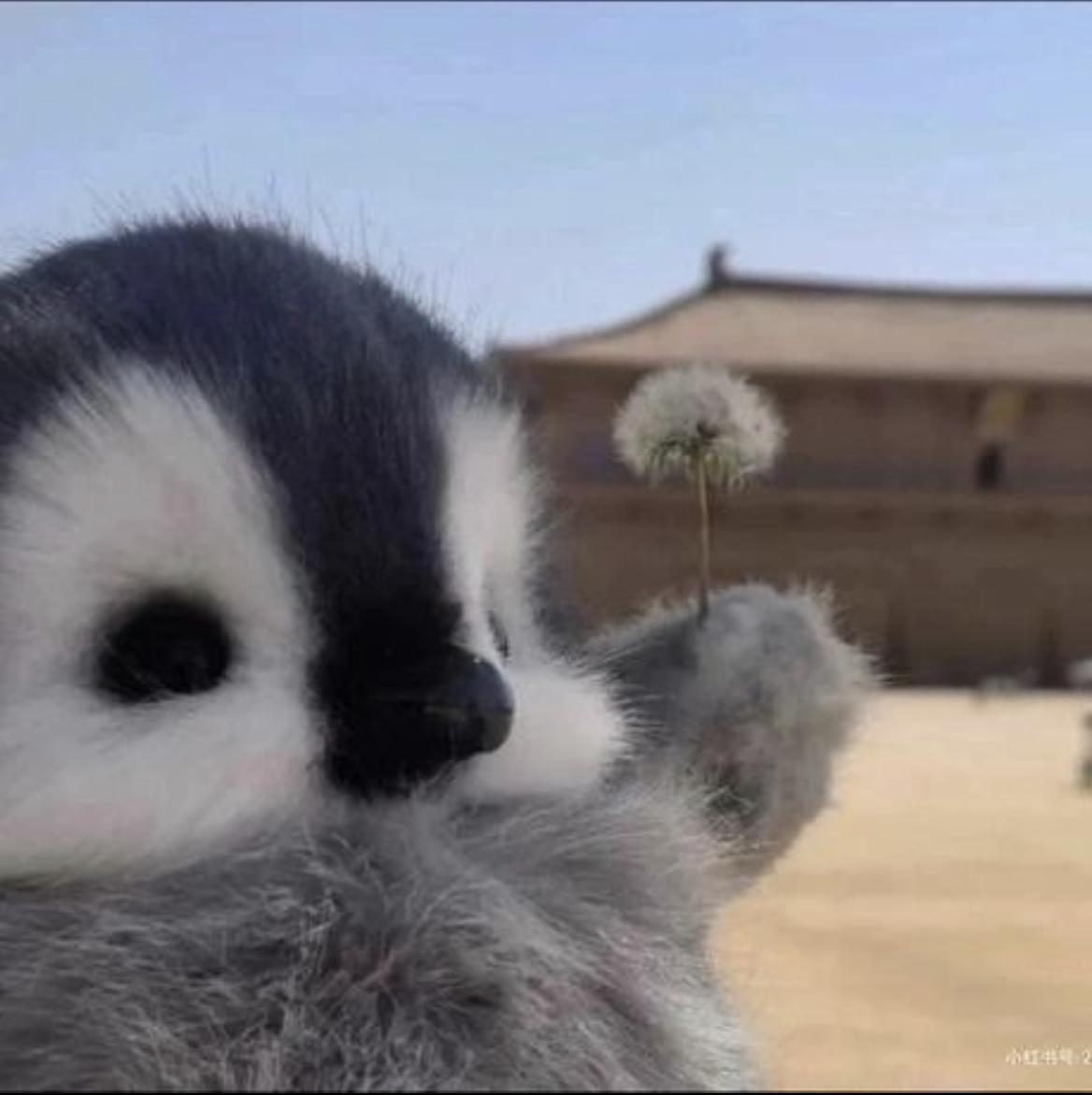 Talise's Post|Lemon8