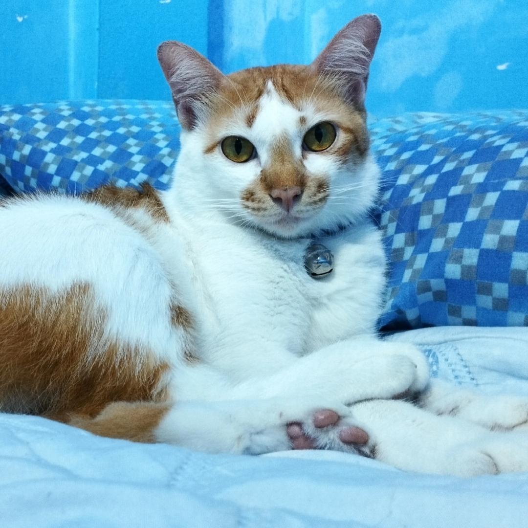 Lalida Petch's Post|Lemon8