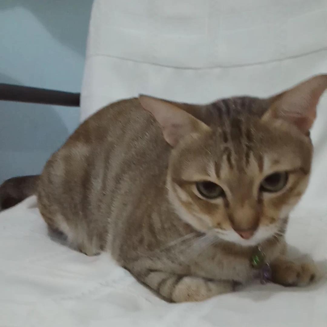 Aoy_kj's Post|Lemon8