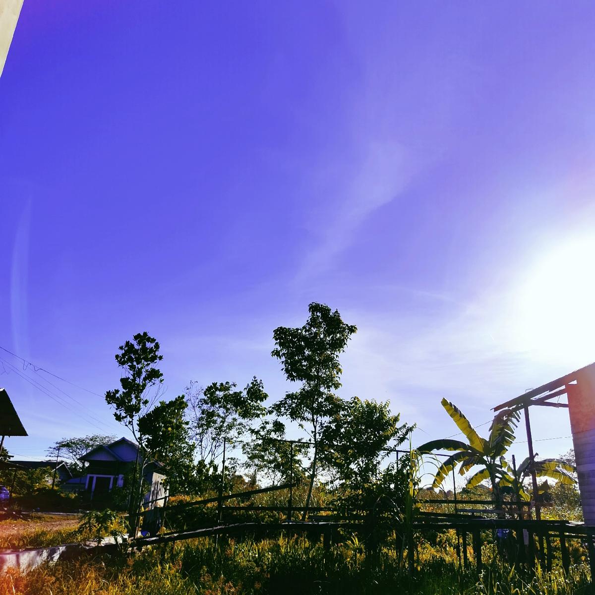 Dita Ayutiar's Post|Lemon8