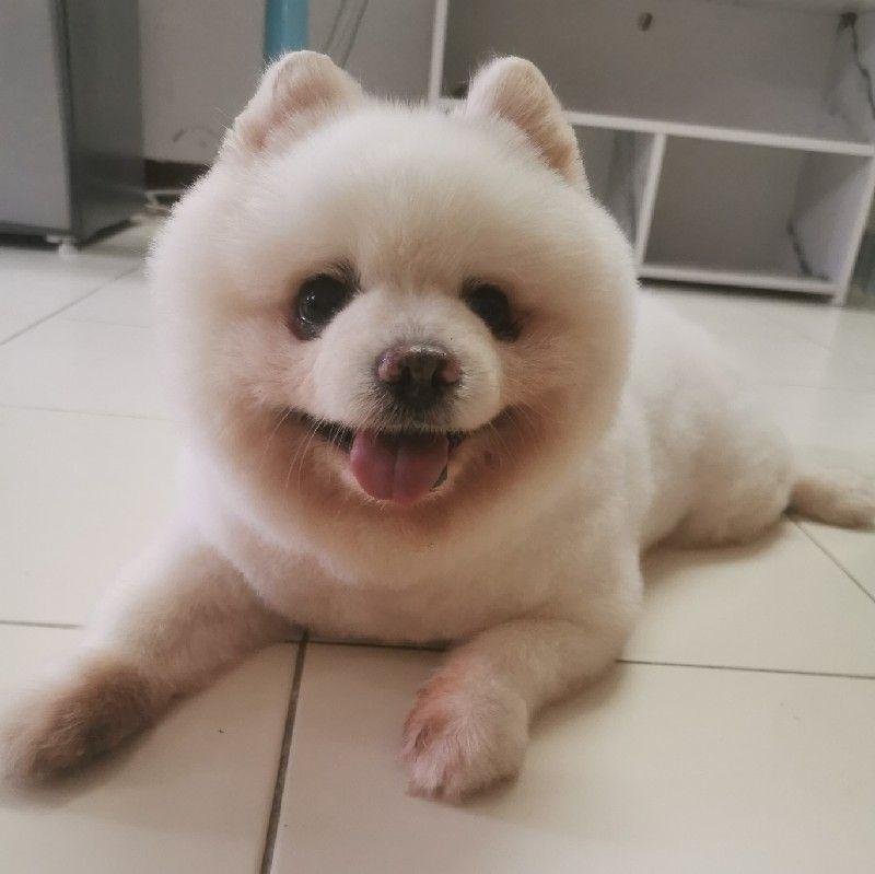 Pu.jirada's Post|Lemon8