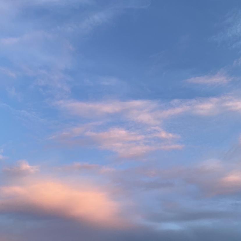 .'s Post|Lemon8