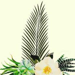 Amalia Fernanda's Post|Lemon8