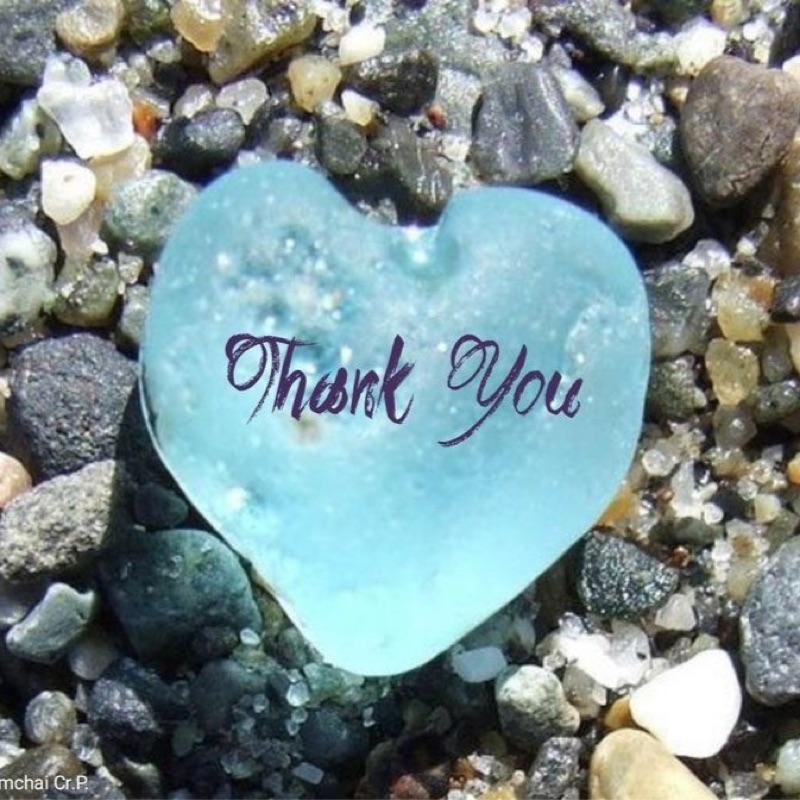 Bear Melon's Post|Lemon8