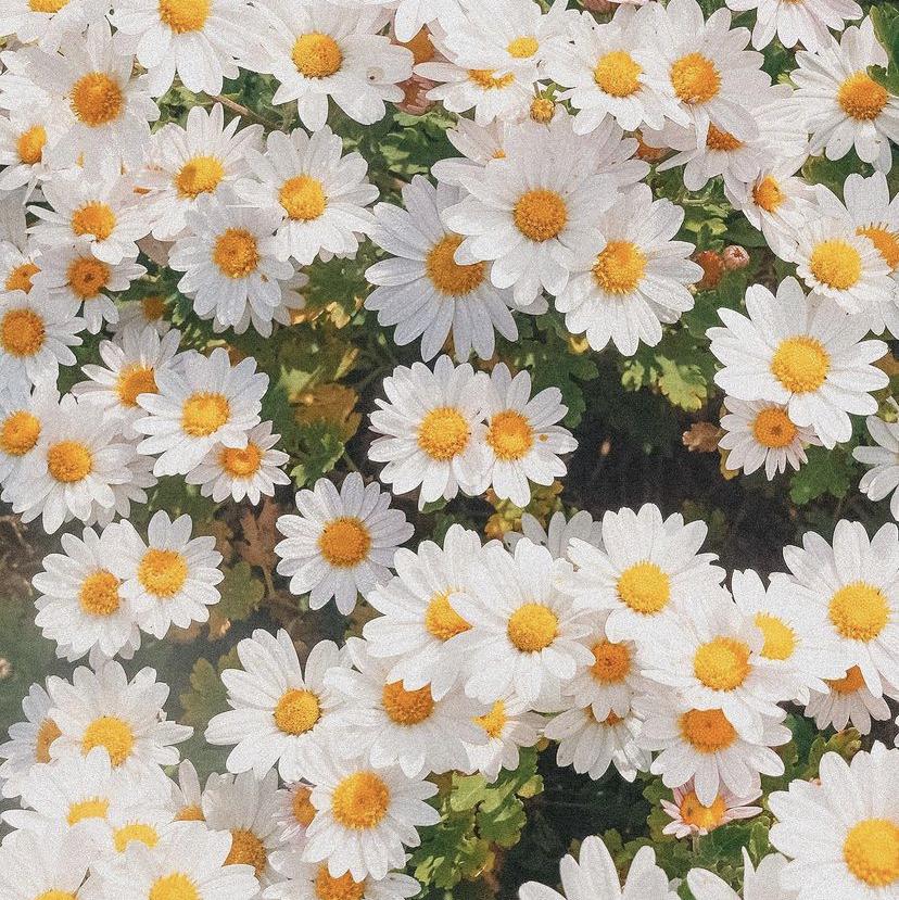 Looknam's Post|Lemon8