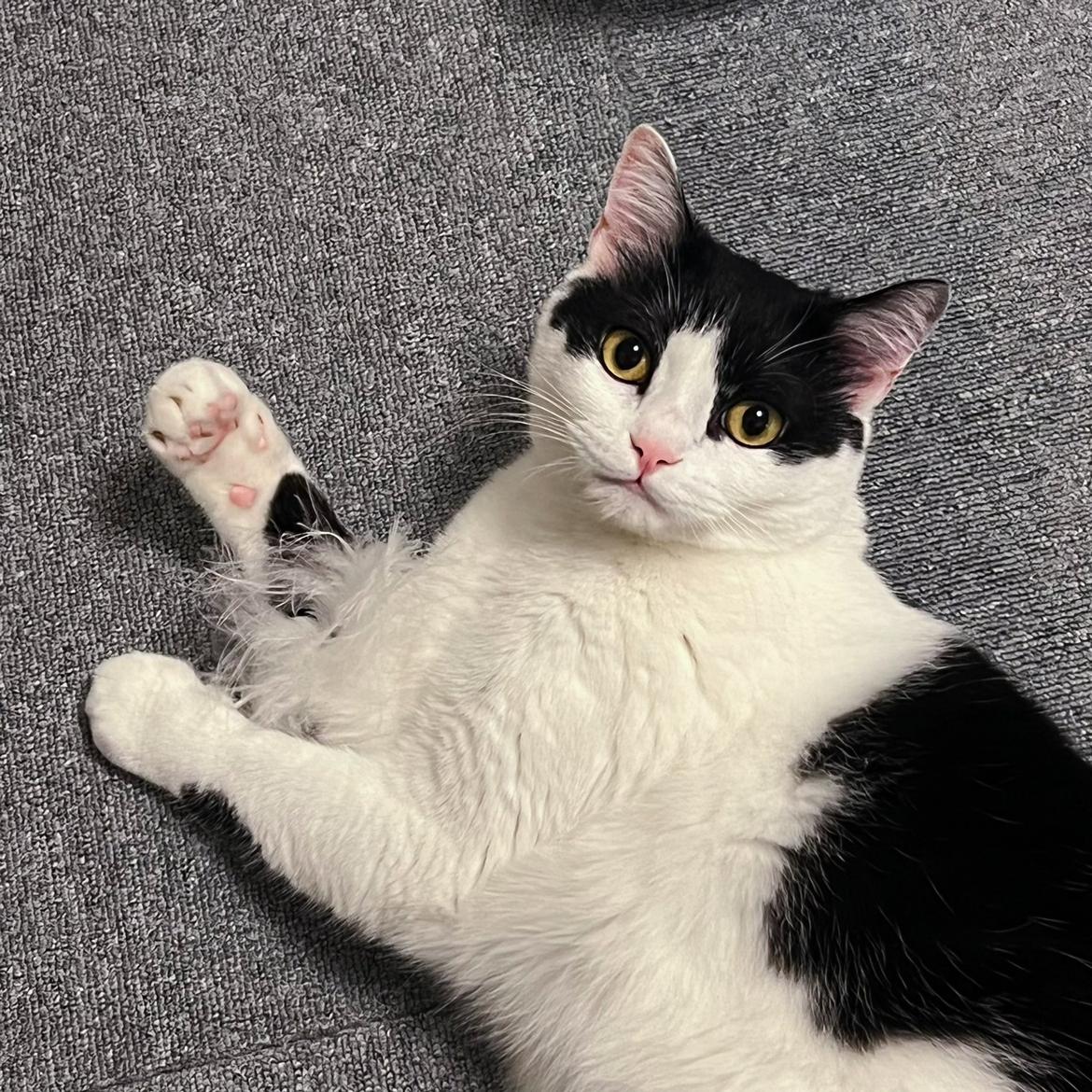 Matcha_latte's Post|Lemon8