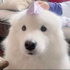 Naruebet Prapin's Post|Lemon8