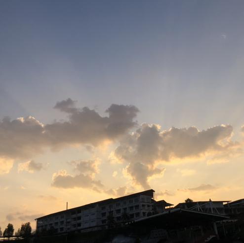 Dane now (Dina)'s Post|Lemon8