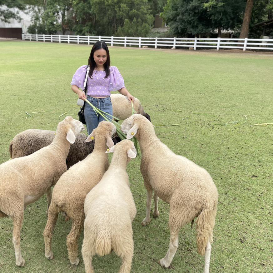 Juniel Physic36's Post|Lemon8