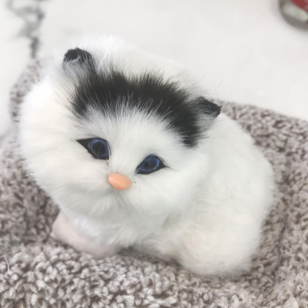 pornsuda's Post|Lemon8