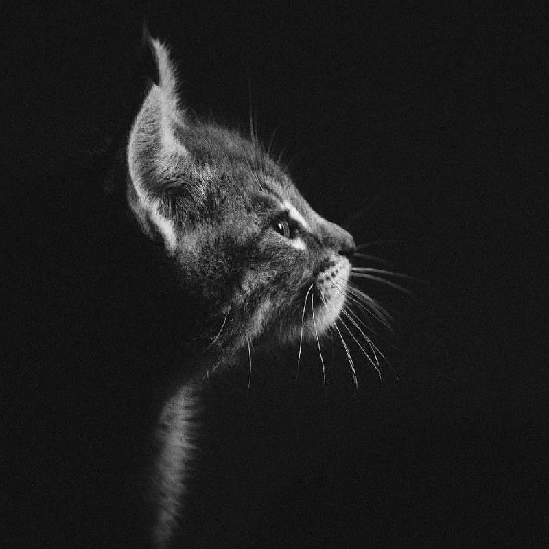 Yaniiさんの投稿|Lemon8