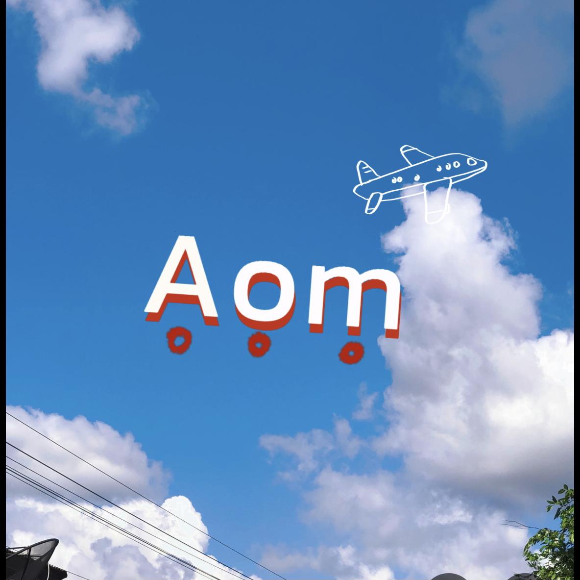 Aomm's Post|Lemon8