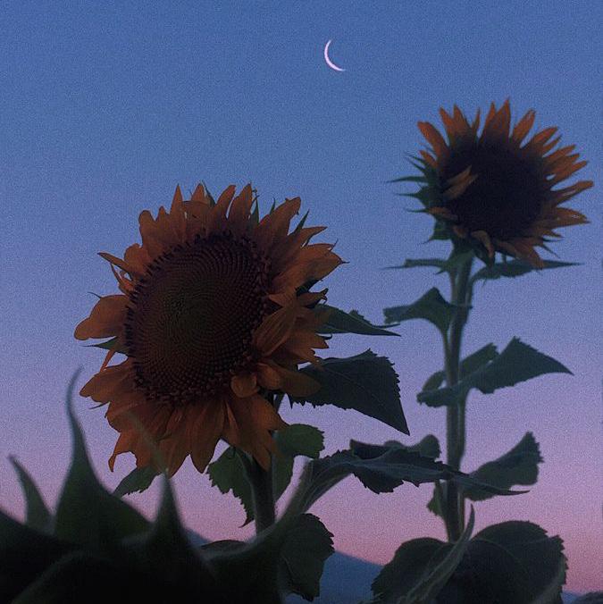 Jence C's Post|Lemon8