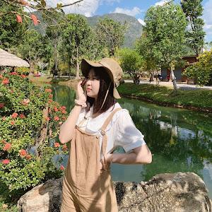 Baifern_tdr's Post|Lemon8