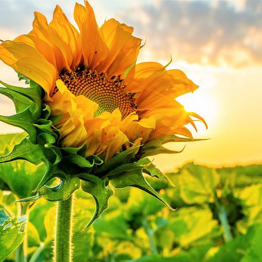 Kie Superstar's Post|Lemon8