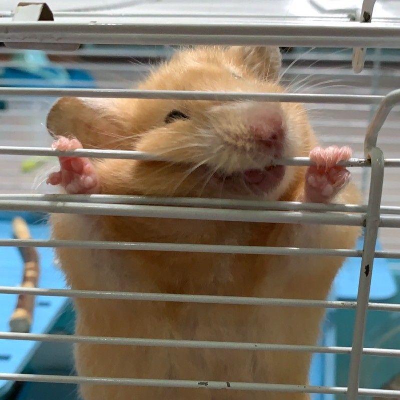 matcha's Post|Lemon8